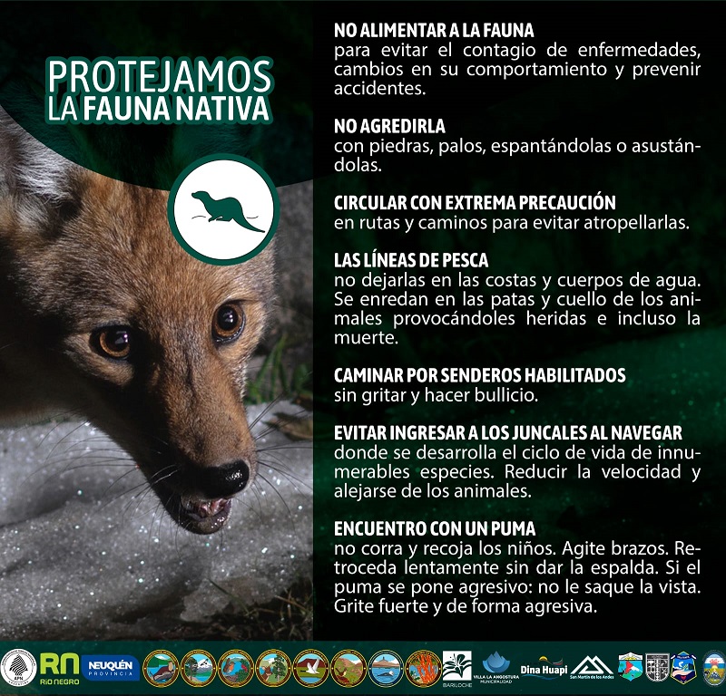 PROTEJAMOS LA FAUNA NATIVA. RECOMENDACIÓNES Y CUIDADOS EN LA NATURALEZA ...