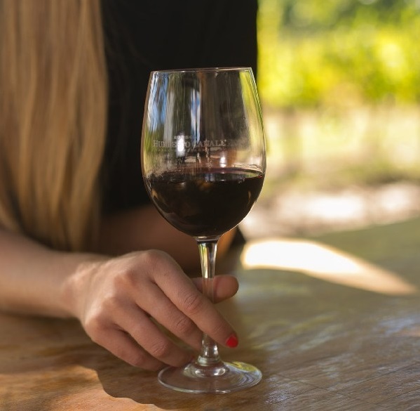 YA SON 60 LAS BODEGAS CONFIRMADAS PARA «PURO VINO BRC 2023» – Bariloche ...