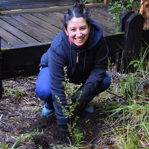 NUEVA PLANTACIÓN EN EL PARQUE NACIONAL LOS ARRAYANES – Bariloche Digital