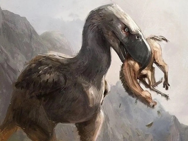 AVES DEL TERROR, LAS SUPERPREDADORAS DE LA PREHISTORIA SUDAMERICANA ...