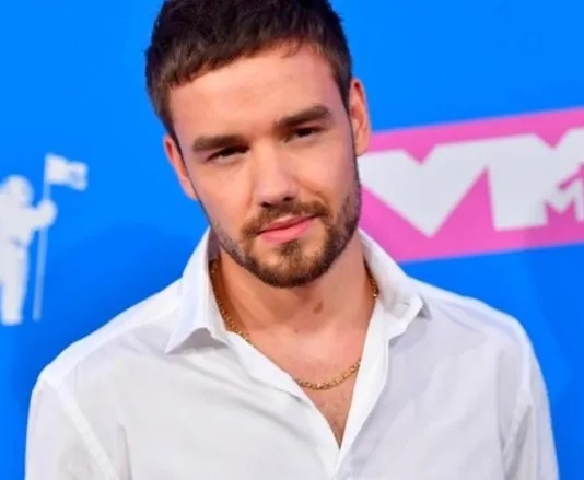 LIAM PAYNE, DEL ÉXITO CON ONE DIRECTION A LA ACUSACIÓN DE MALTRATO ...